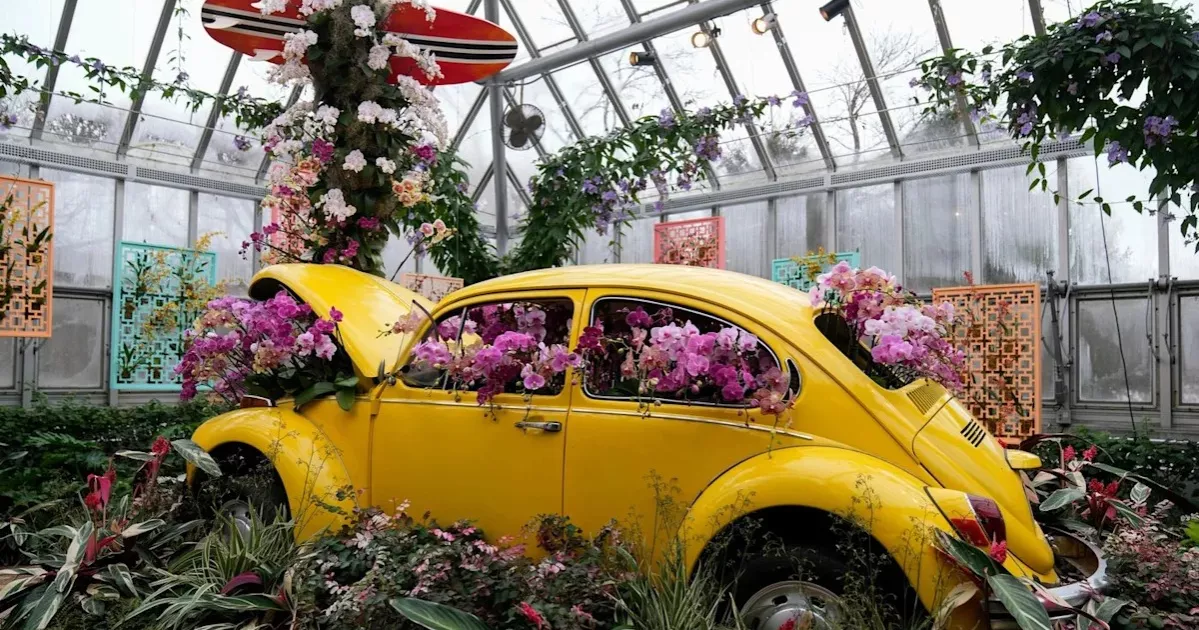 Thousands of Orchids light up Chicago Botanic Garden this winter