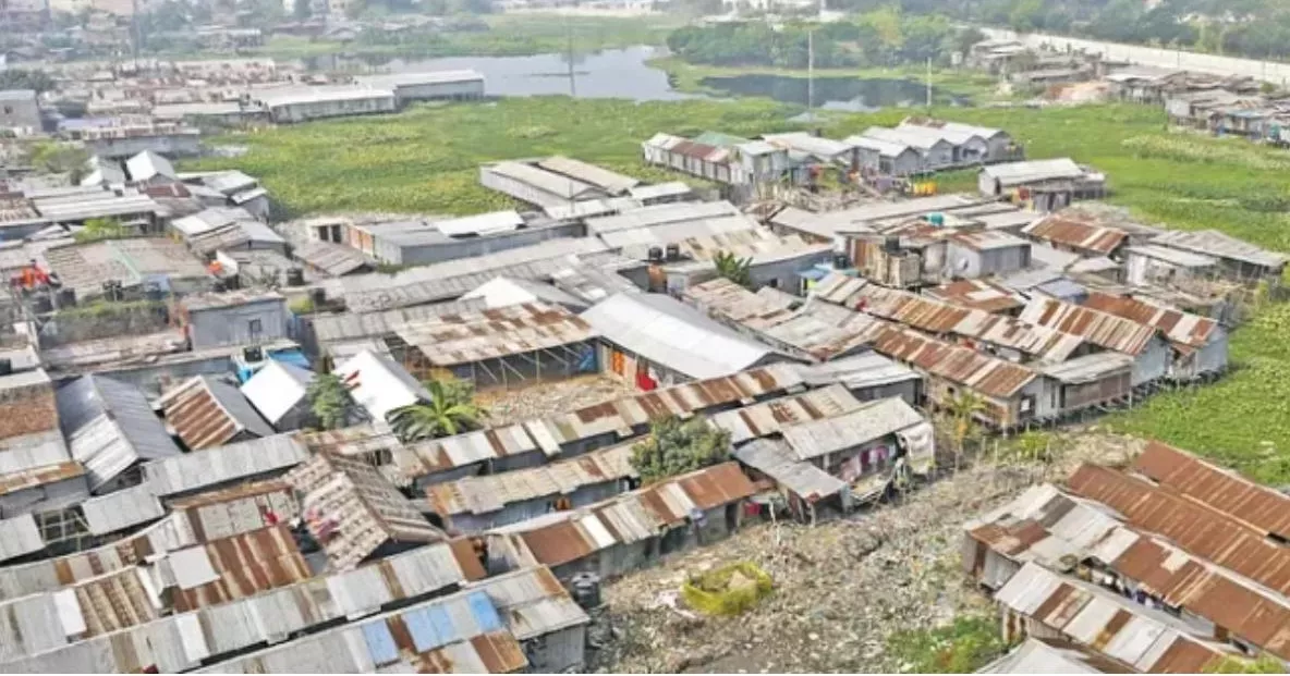 Illegal drug, arms trade thrives in Mirpur's Pallabi Alubdi Jhilpar ...