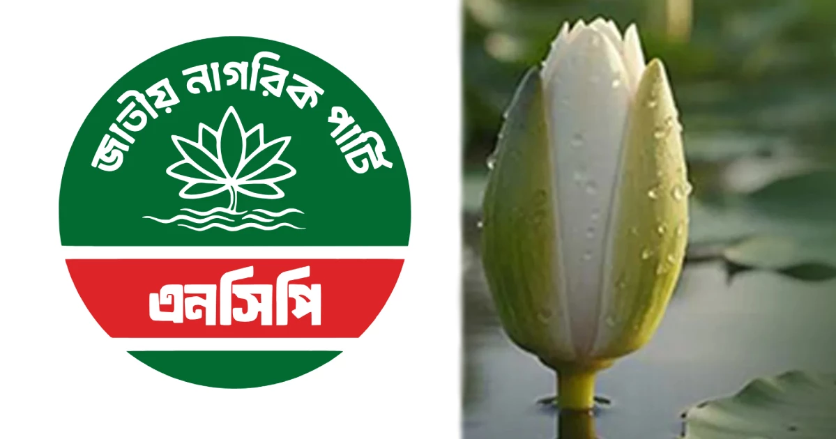 NCP finally agrees to accept ‘Shapla Koli’ as party symbol