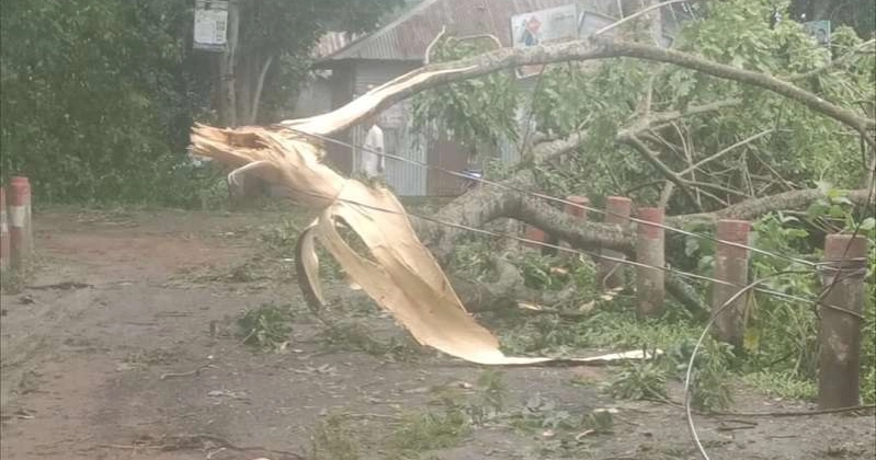 3.5 lakh people still without power in Shariatpur after Sunday’s cyclone