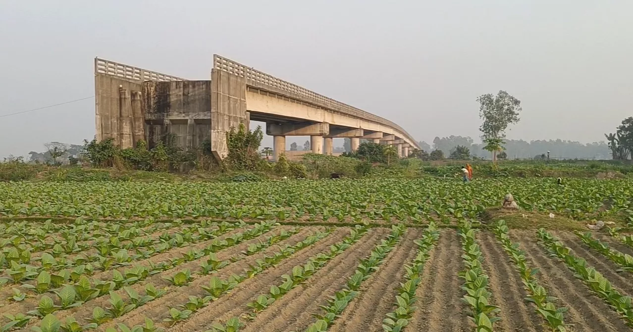 A costly bridge in Manikganj waiting for roads