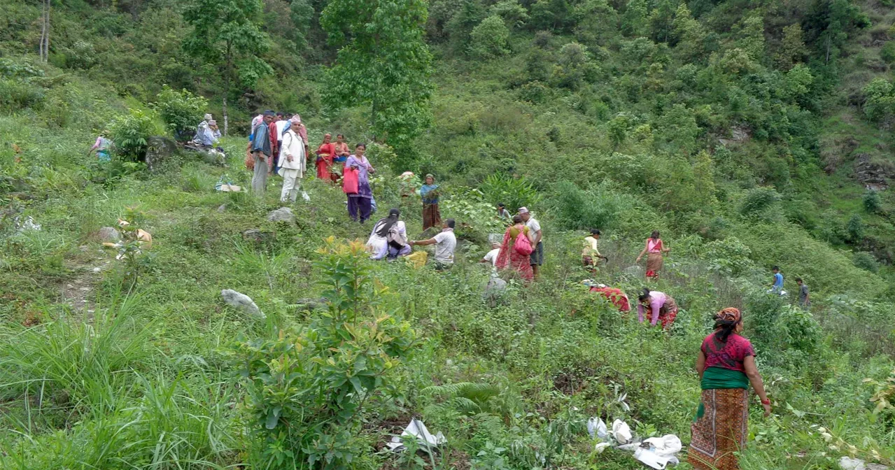 Empowerment of women through Collaborative Forest Management (CFM)