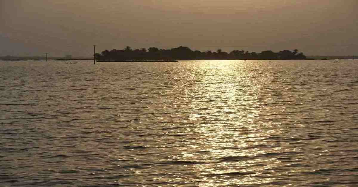 Visit Chalan Beel at Natore in Bangladesh to Pacify Your Soul
