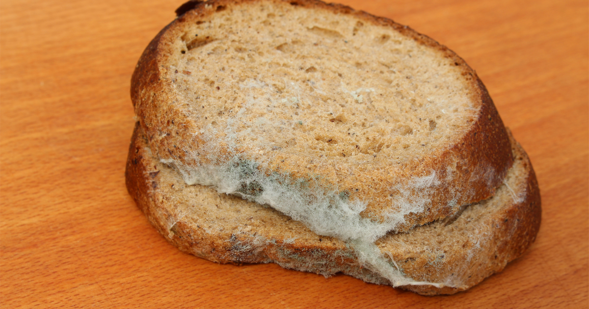 10 Ways to Tell If Your Food is Spoiled