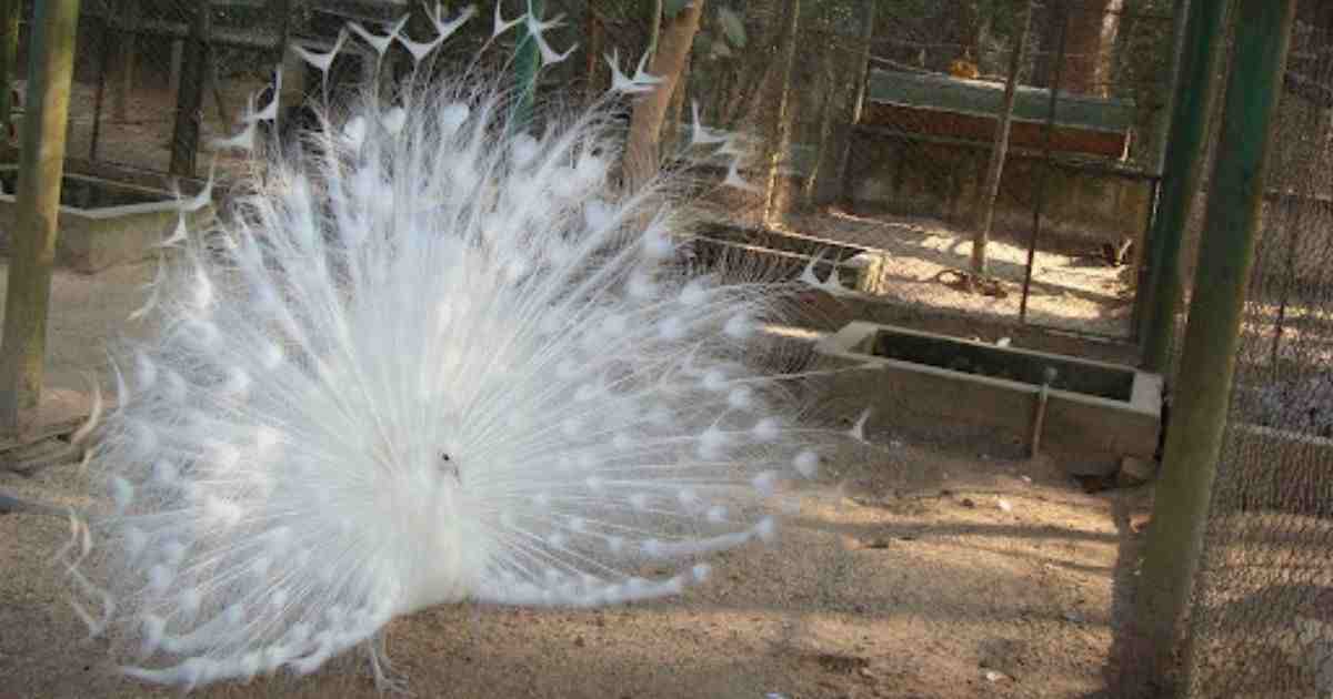 Visit Chattagram City: 10 Best Tourist Spots for Sightseeing and Recreation